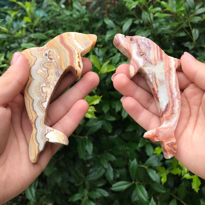 Dolphin Stone - Etsy