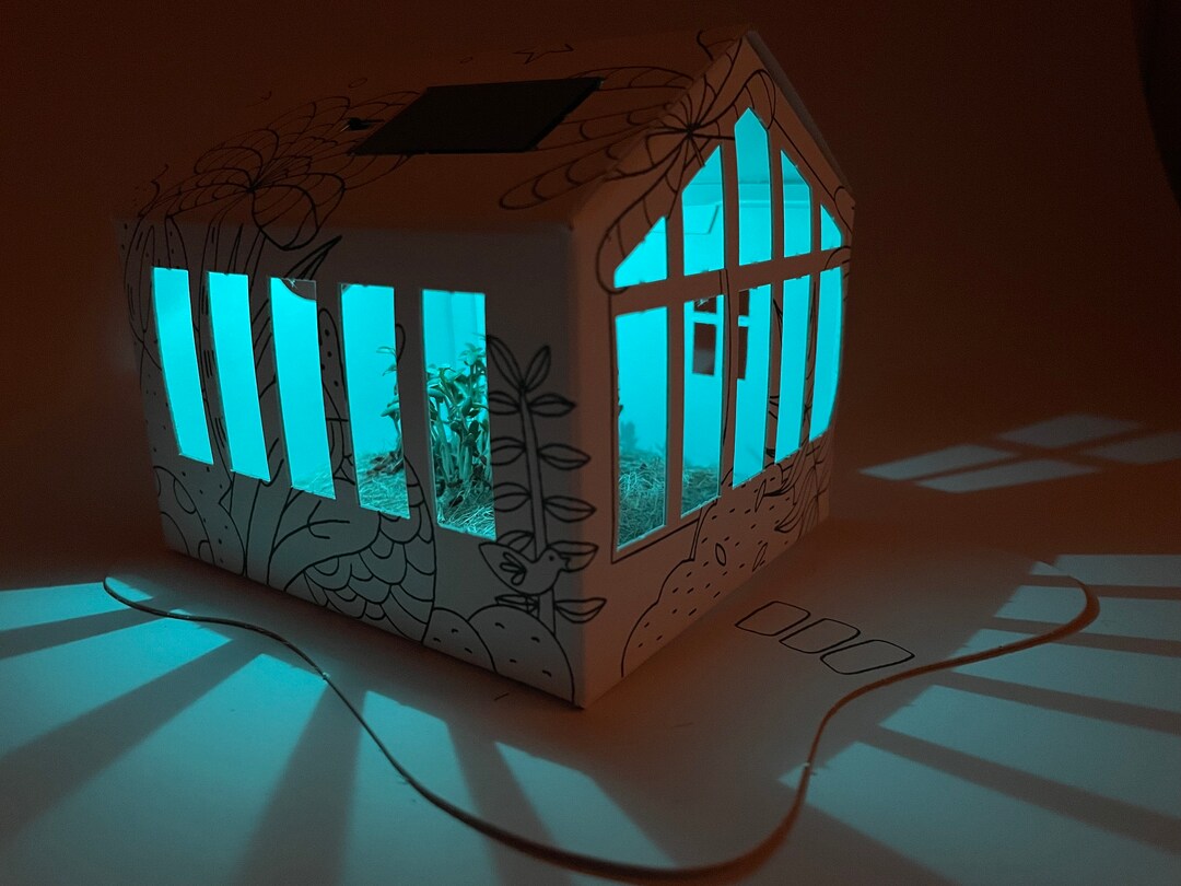 Casagami Solar Greenhouse Kit: Educative DIY Growing Set - Etsy
