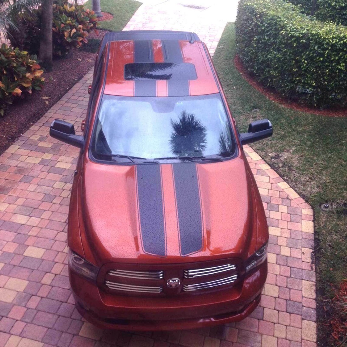 Universal Fit 3M Vinyl EZ Rally Racing Stripes With Outline - Etsy