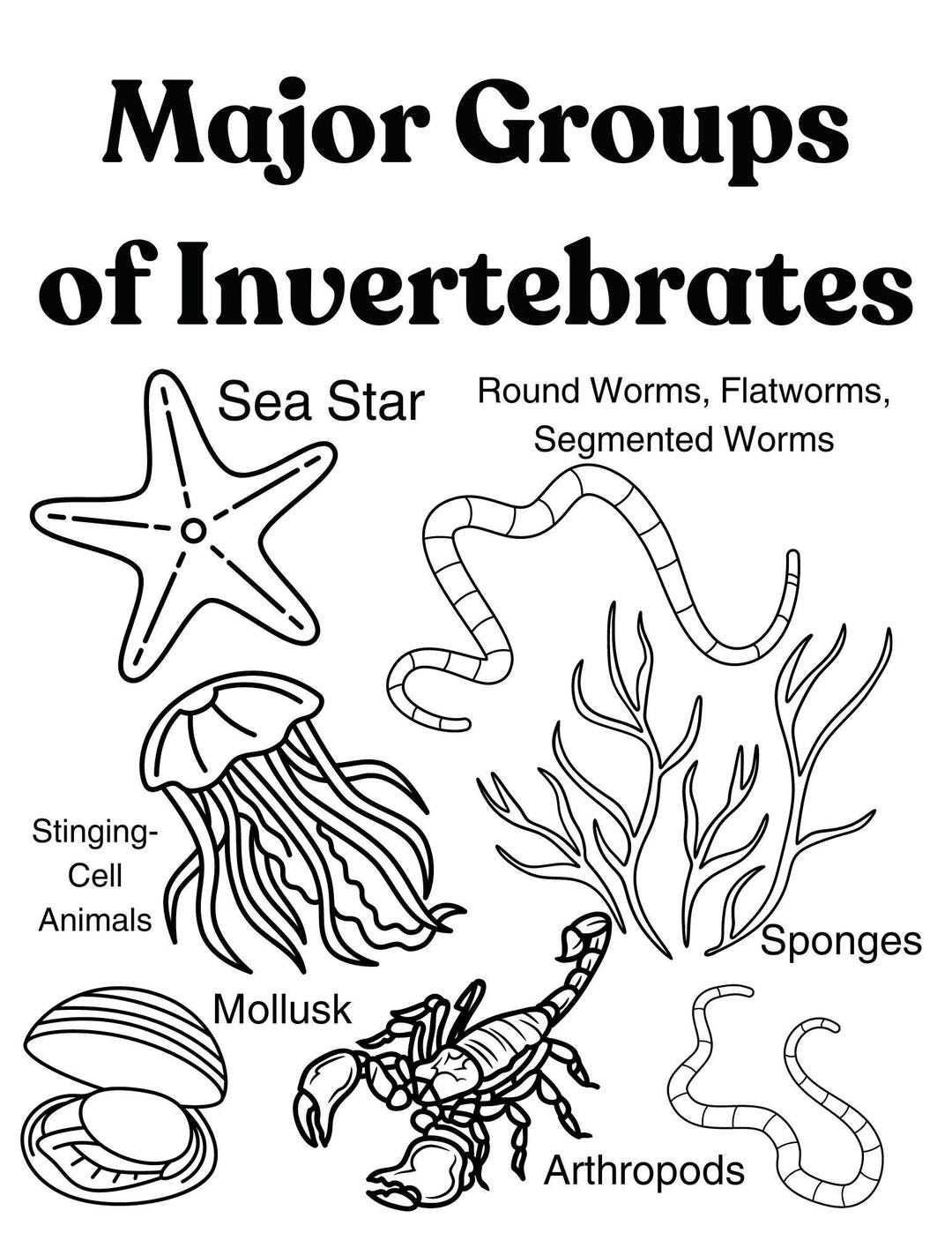 Classical Conversations Cycle One Major Invertebrates Coloring Sheet - Etsy