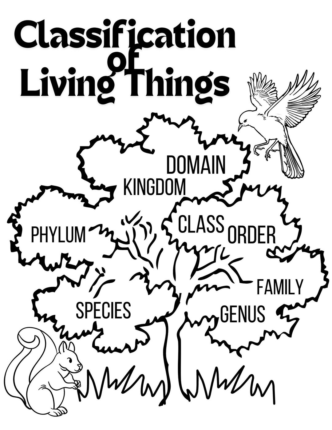 SCIENCE Classification of Living Things Coloring Sheet - Etsy