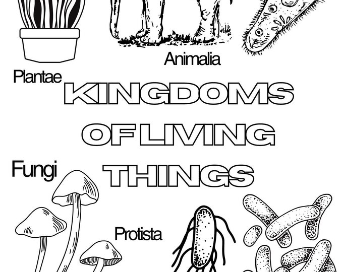 Classical Conversations Cycle One Kingdoms of Living Things Coloring ...