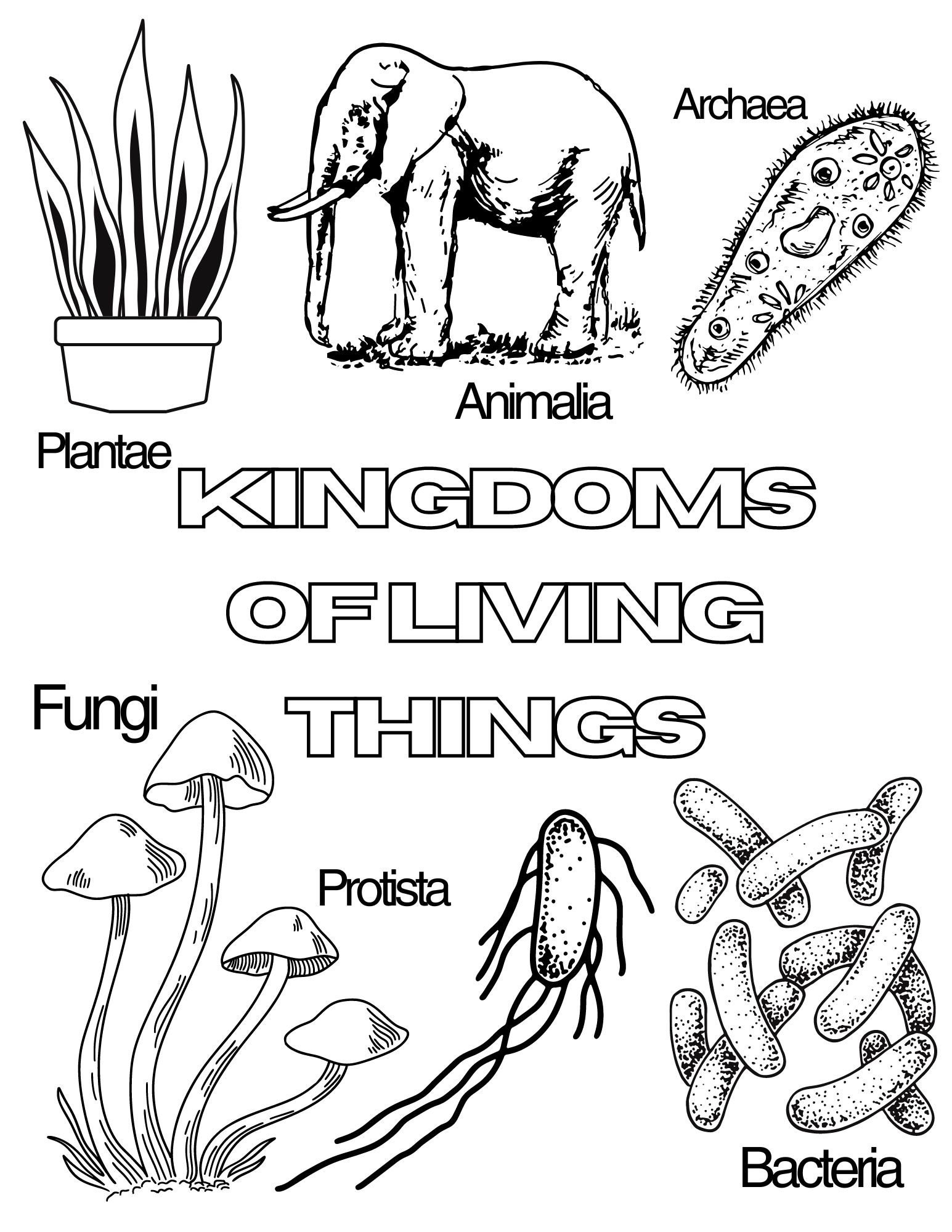 Classical Conversations Cycle One Kingdoms of Living Things Coloring ...