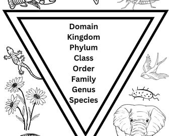 Classical Conversations Cycle One Kingdoms of Living Things Coloring ...