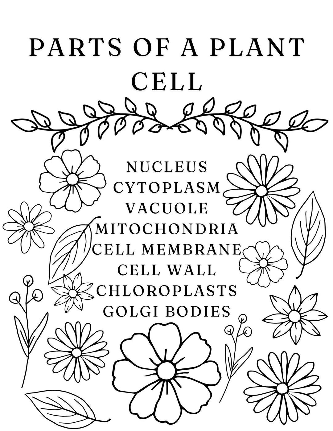 SCIENCE Plant Cell Coloring Sheet - Etsy