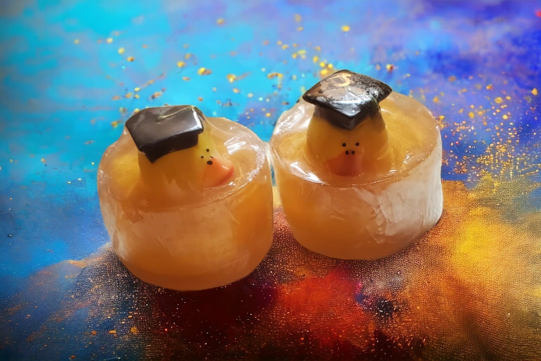 GRADUATION SOAP Rubber Ducky Toy Coconut Oil Soap Upamperu - Etsy