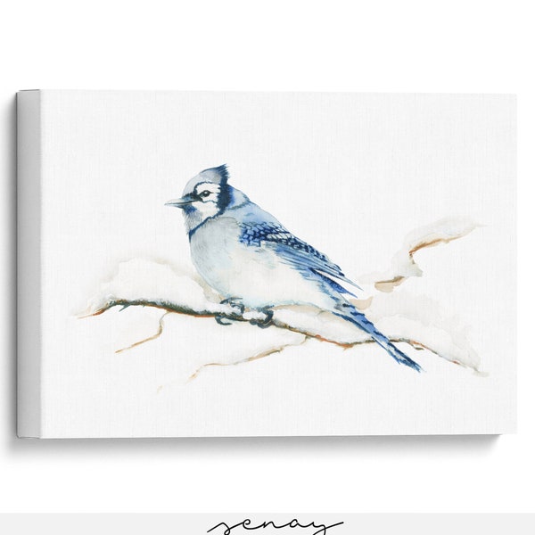 Blue Jay Art - Etsy