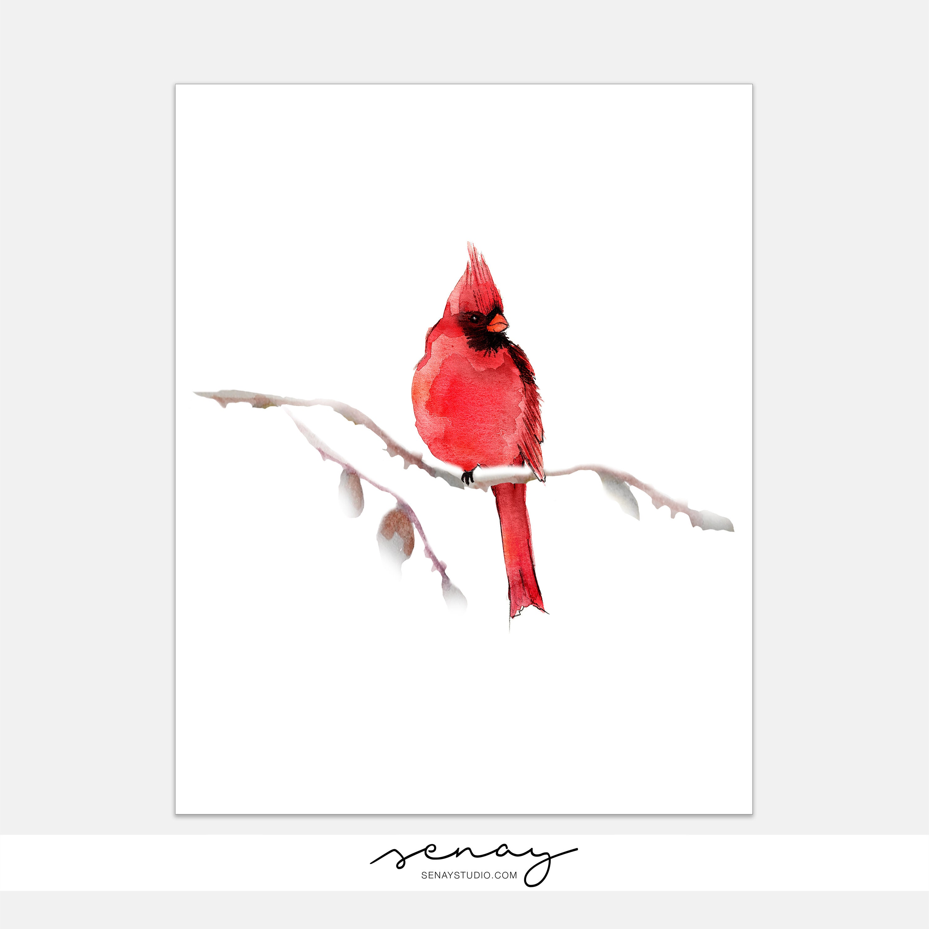 Red Cardinal Bird Art Print Perfect Gift for Her or Him - Etsy