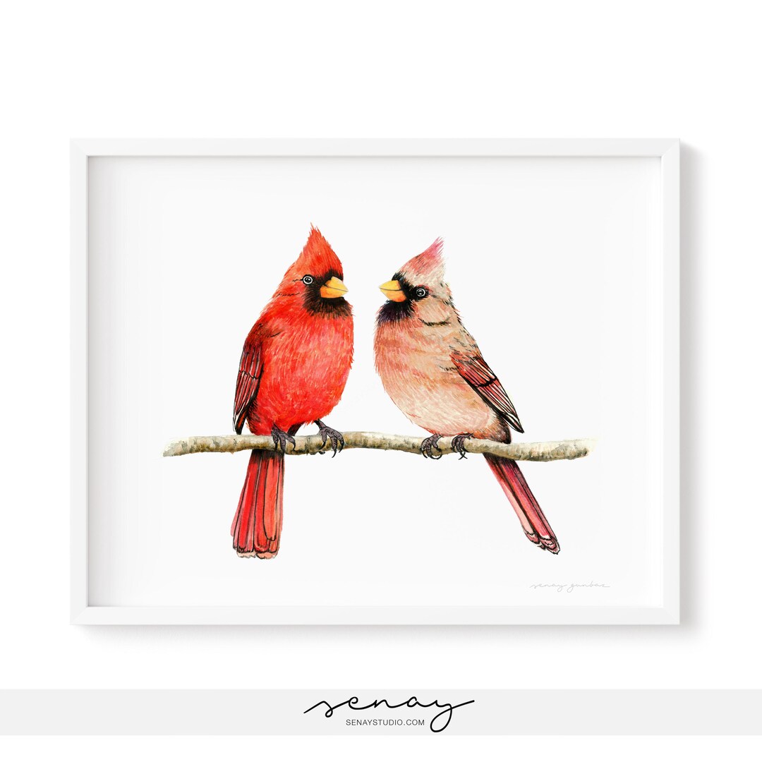 Two Cardinal Birds Watercolor Giclée Print High Quality and Beautiful ...