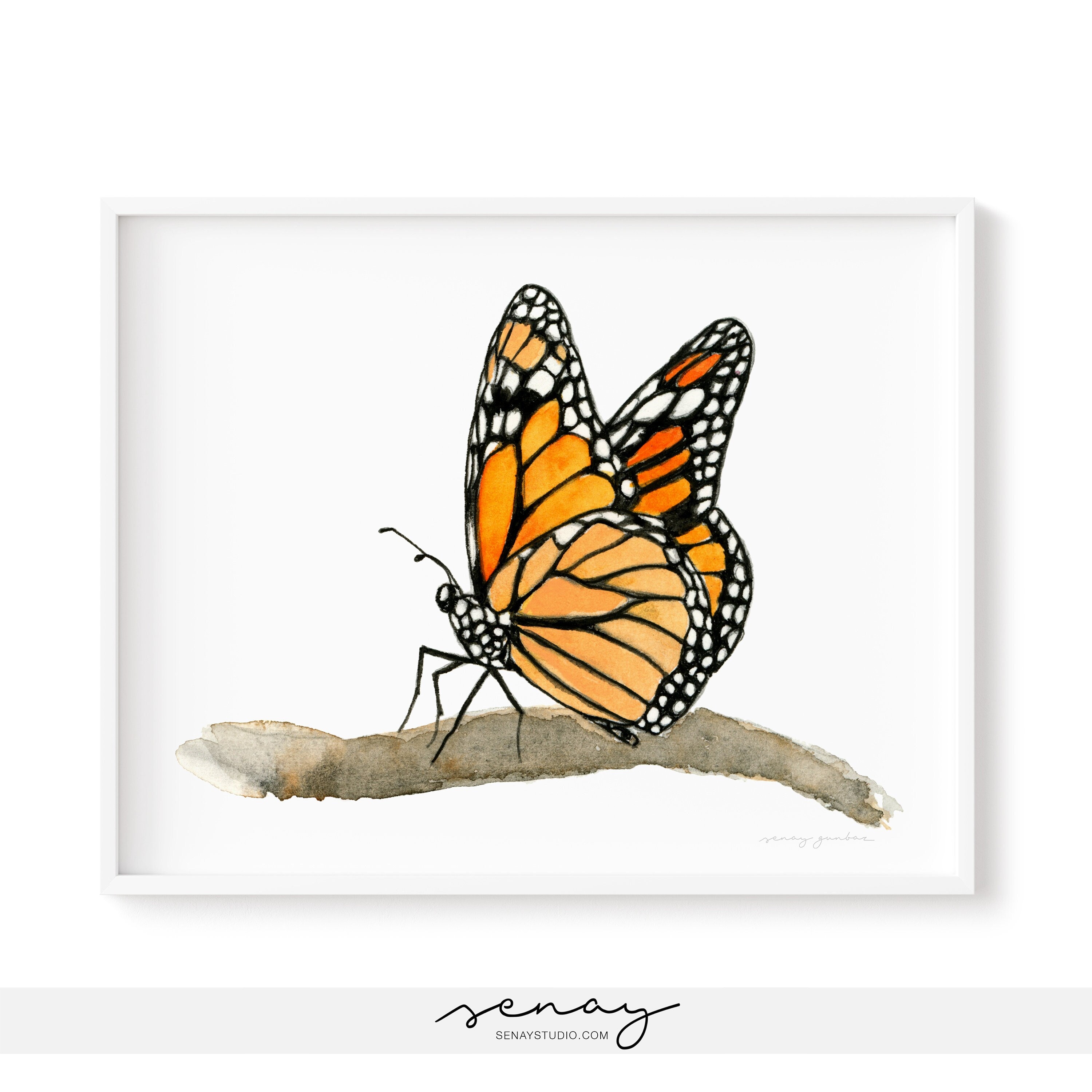Monarch Butterfly Watercolor