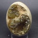 Rare Shammanite Shamanite Master Shamanite Raw Piece From USA 1.4 - Etsy