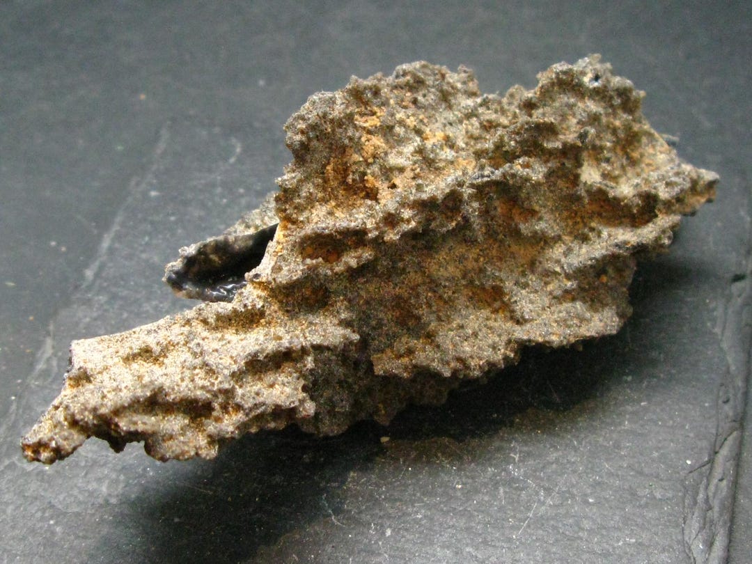 Large Fulgurite Lightning Rock From Sahara Desert 3.8 - Etsy