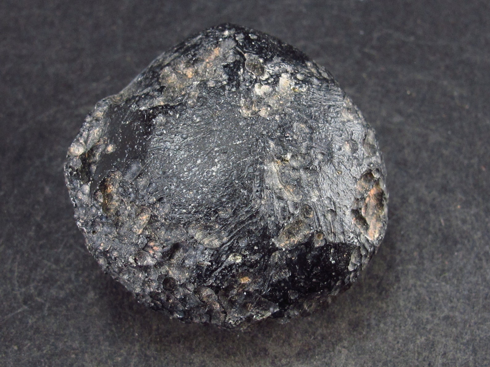 Rare Large Black Tibetan Tektite from Tibet 1.3 | Etsy