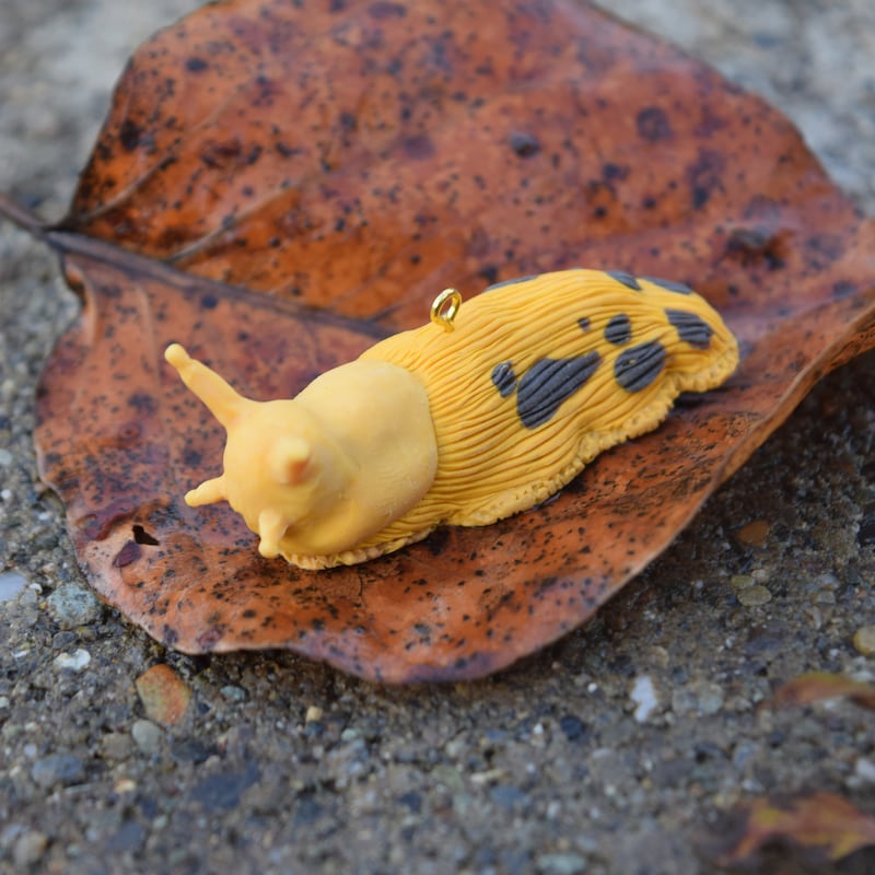 Ceramic Slug - Etsy