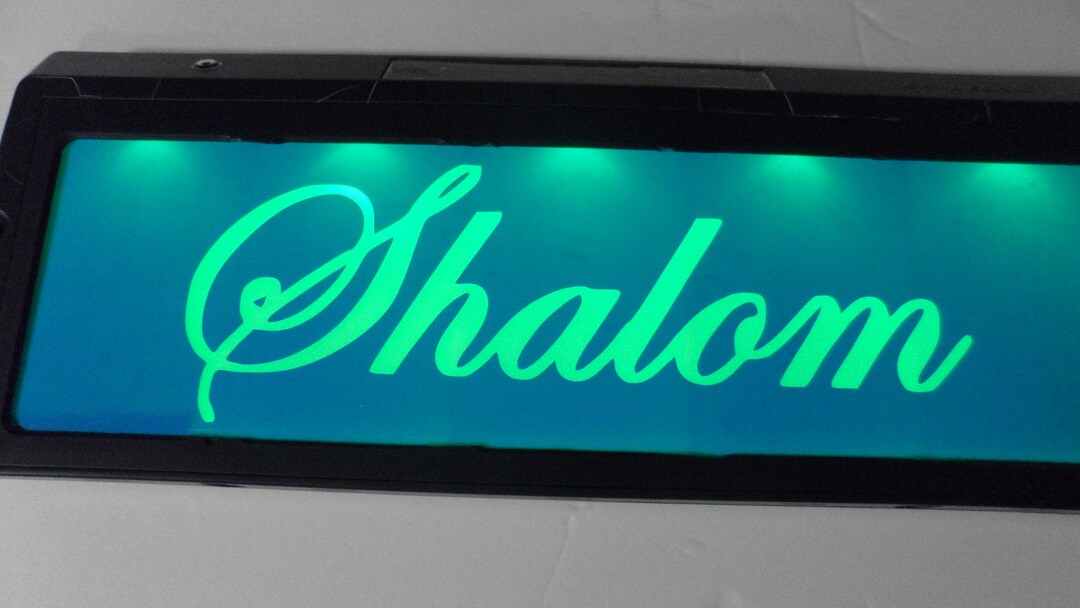 Shalom LED Solar Powered Yard Light With Distressed Crackle Outer Frame ...