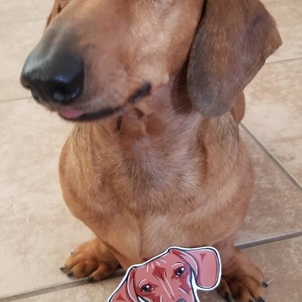 Dachshund Sticker - Etsy
