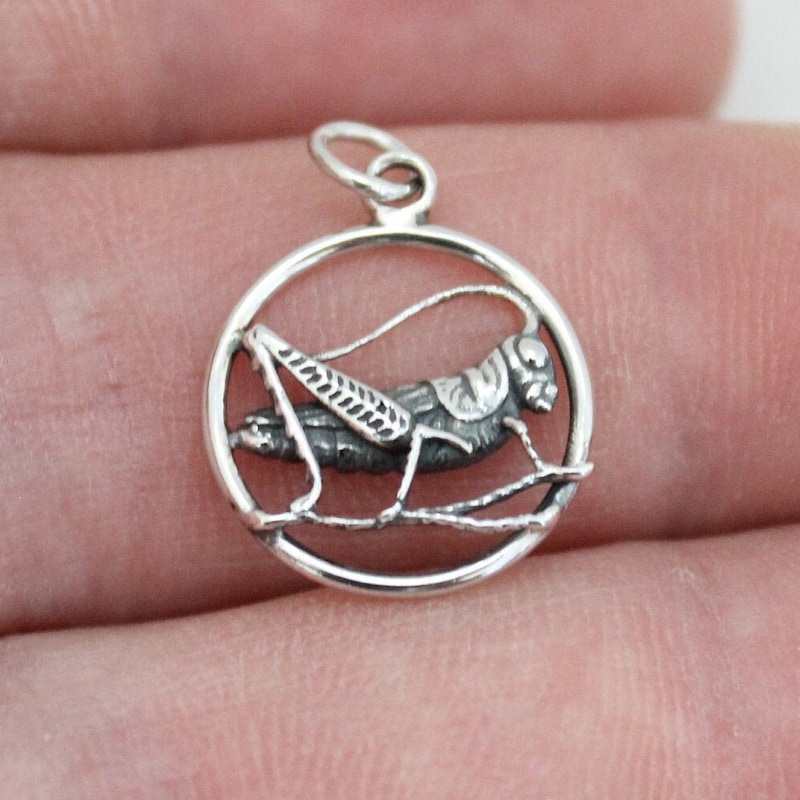 Cricket Jewelry - Etsy