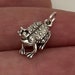 Sterling Silver Frog Prince Charm, Sterling Silver Enchanted Frog ...