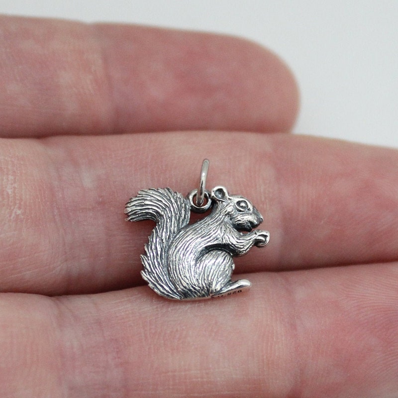 Squirrel Charms - Etsy