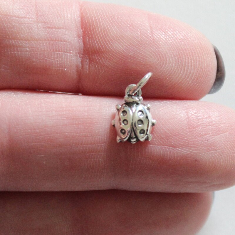 Ladybug Charm - Etsy