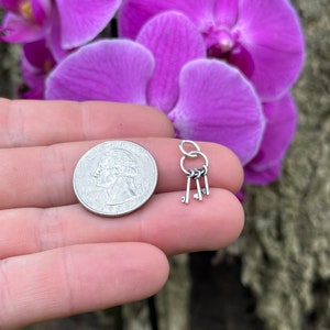Sterling Silver Key Ring With Three Keys Charm - Etsy