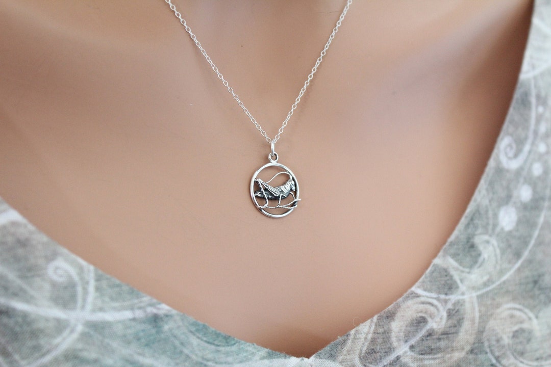 Sterling Silver Lucky Cricket Necklace: Circle Pendant - Etsy