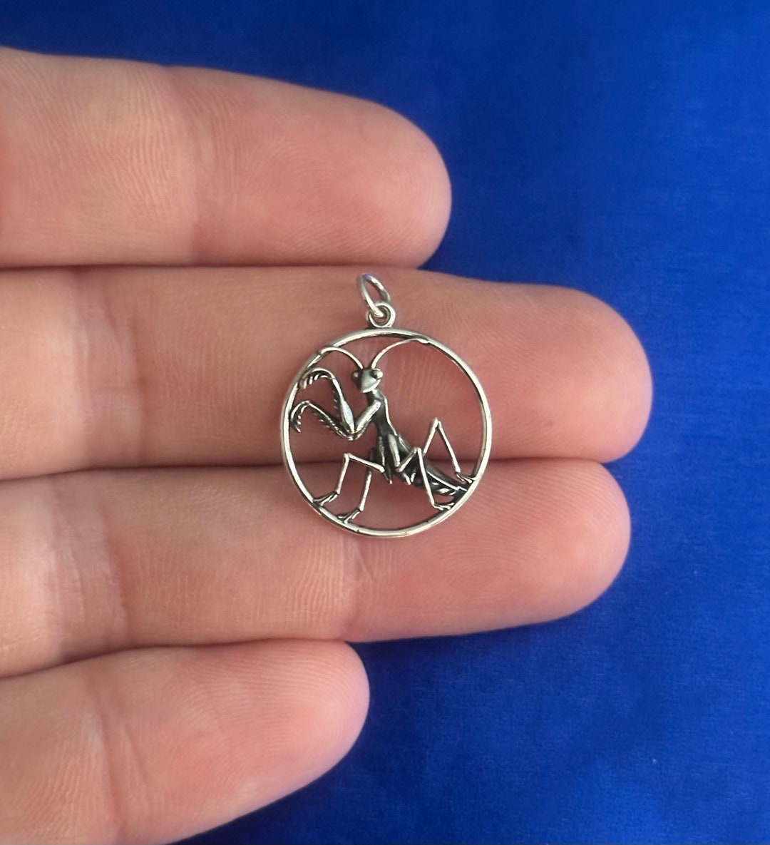 Sterling Silver Praying Mantis Charm: Insect Pendant - Etsy