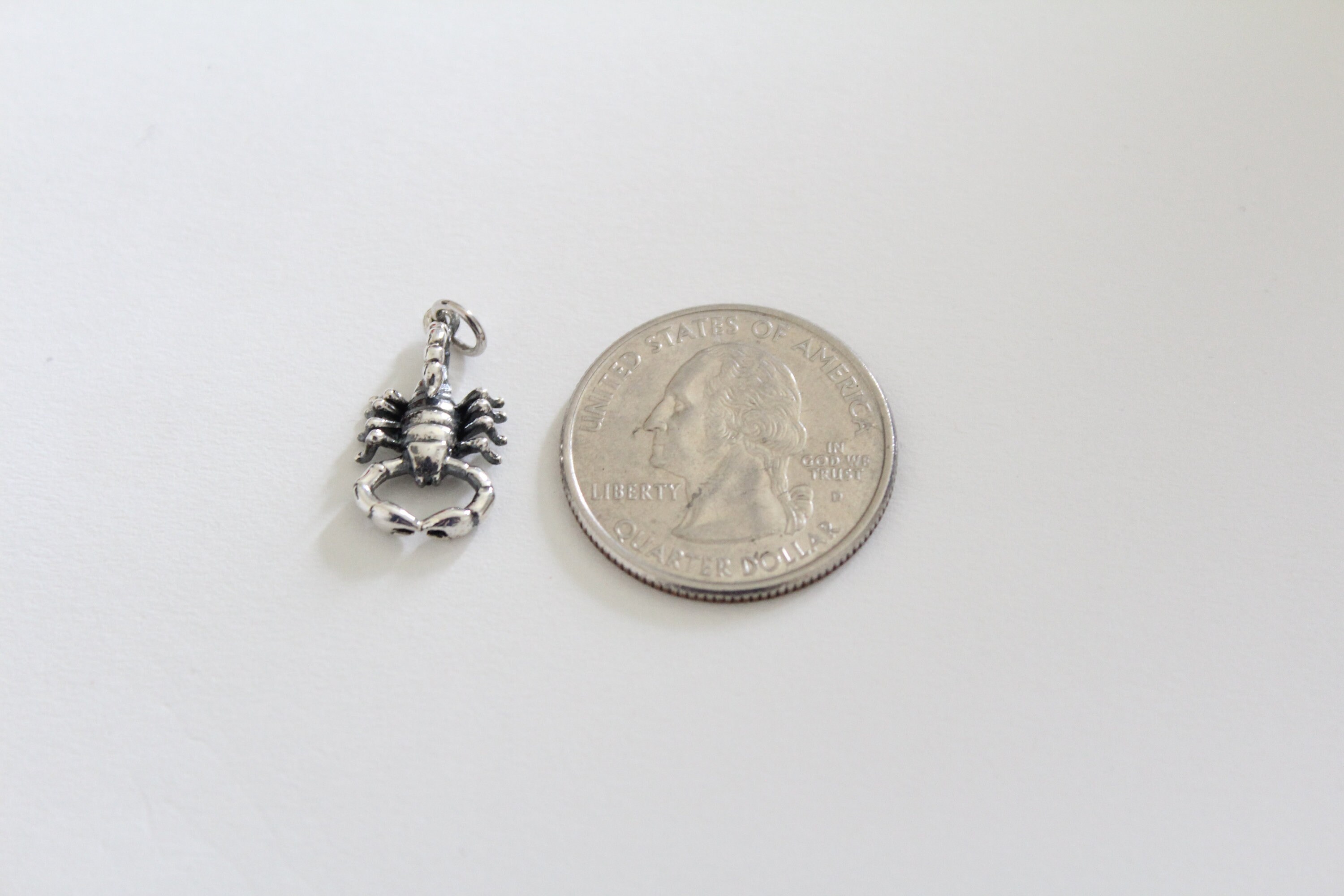 Sterling Silver Scorpion Charm Realistic Scorpion Charm | Etsy