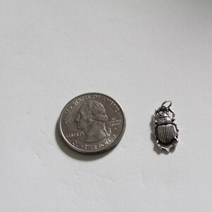 Sterling Silver Beetle Charm, Beetle Charm, Beetle Pendant Charm ...