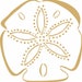 Sand Dollar Stencil beach Stencil REUSABLE Stencil 7 Sizes Available ...