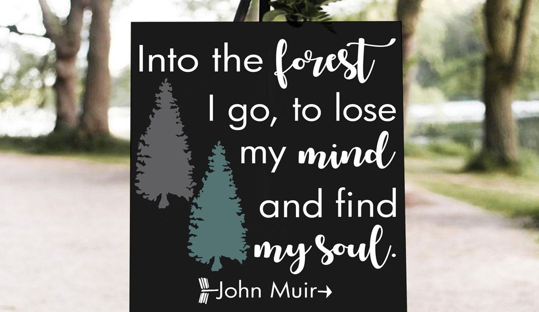 Into the Forest I Go Sign Stencil - Hiking Sign Stencil - Inspirational ...