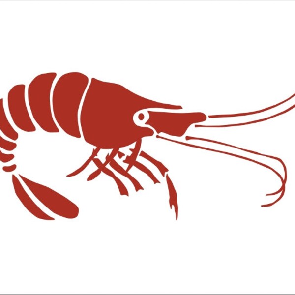 Shrimp Stencil - Etsy