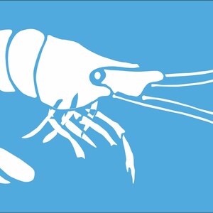 Shrimp Stencil Food Stencil Lake Decor Louisiana Lake Create Shrimp ...