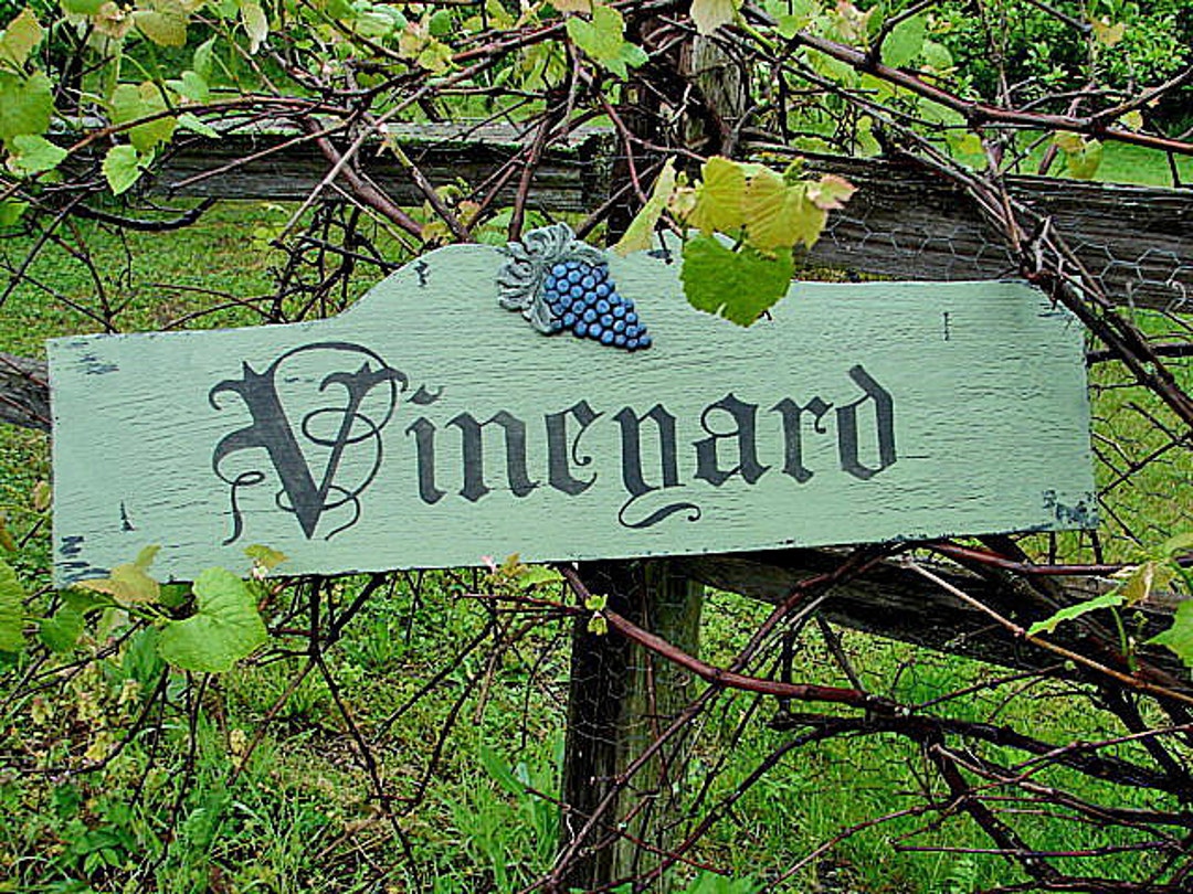 Vineyard Stencil Wine Stencil Farmhouse Garden Sign Prim Stencils ...