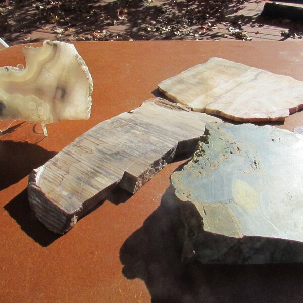 Slabs for Cabbing - Etsy