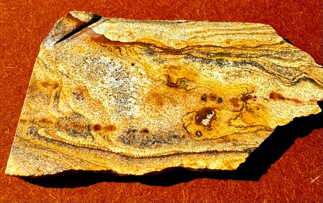Vintage Rare Vintage Oregon Jasper Unpolished Slab for Specimen or Cabs ...