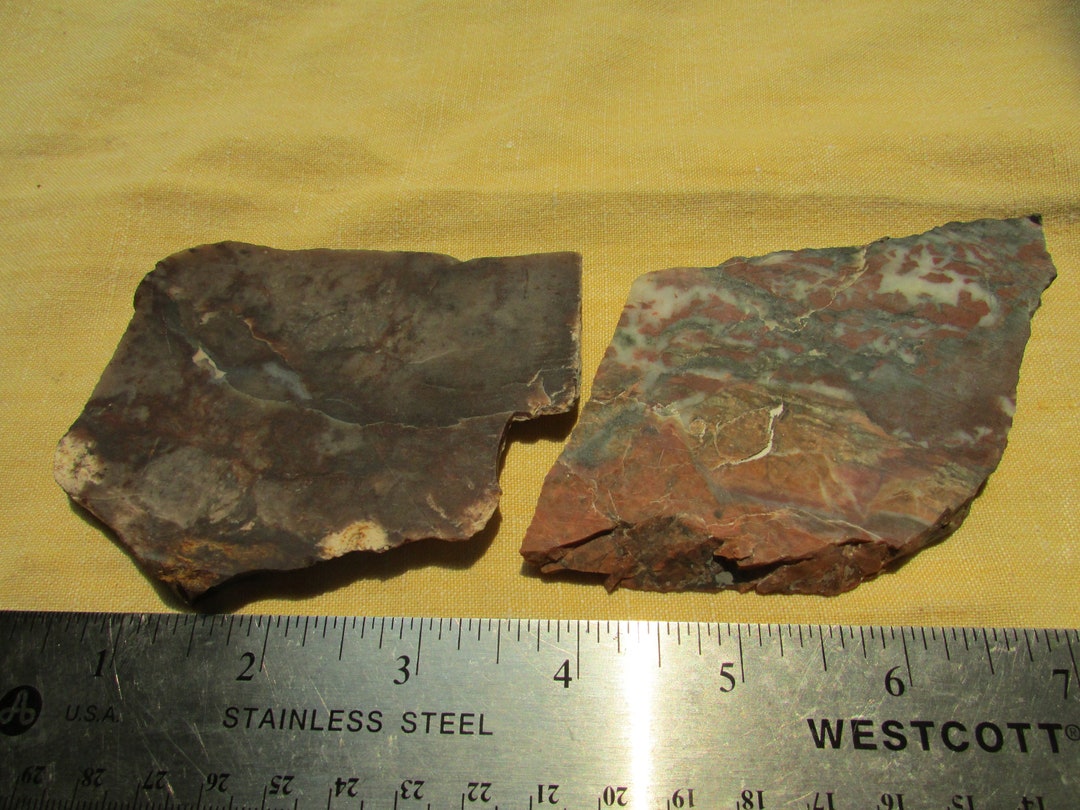 Vintage Medium Brecciated Jasper and Agate Slabs Lot of 2 Specimen or ...