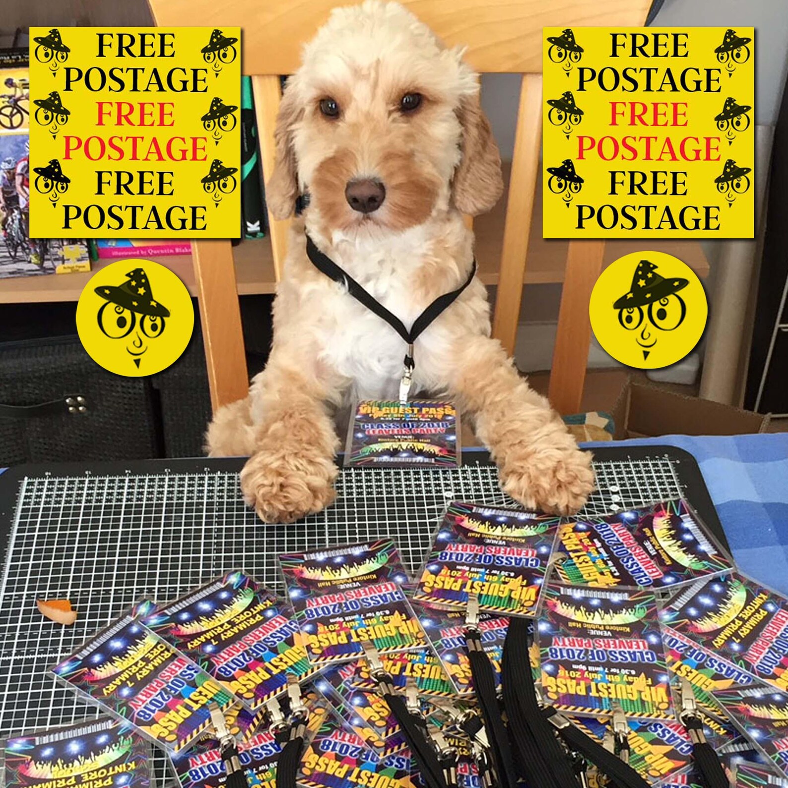 Personalised Festival Birthday Party Lanyards, VIP Pass, Girls or Boys ...