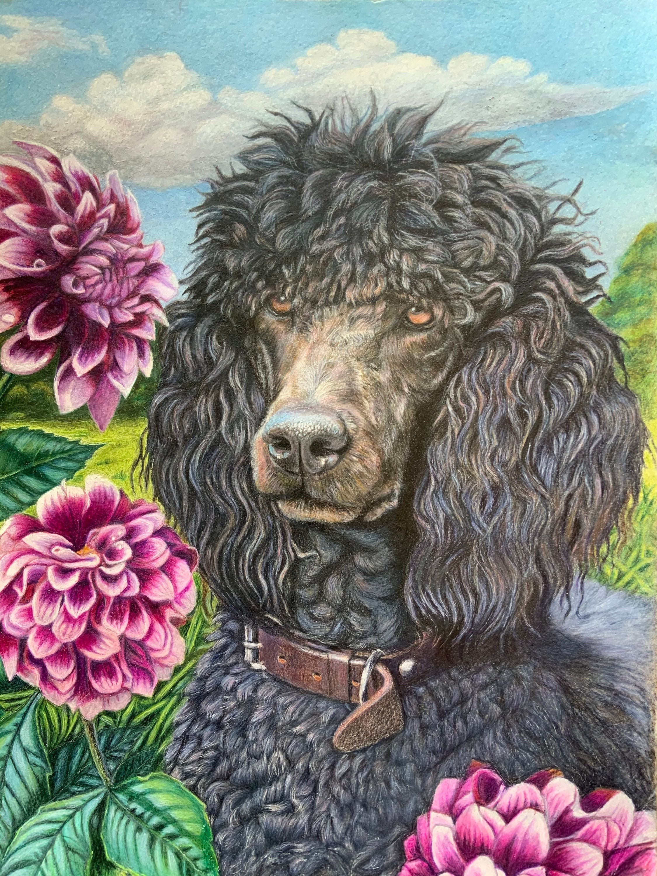 Prints Giclée Art & Collectibles Standard Poodle Signed Print etna.com.pe