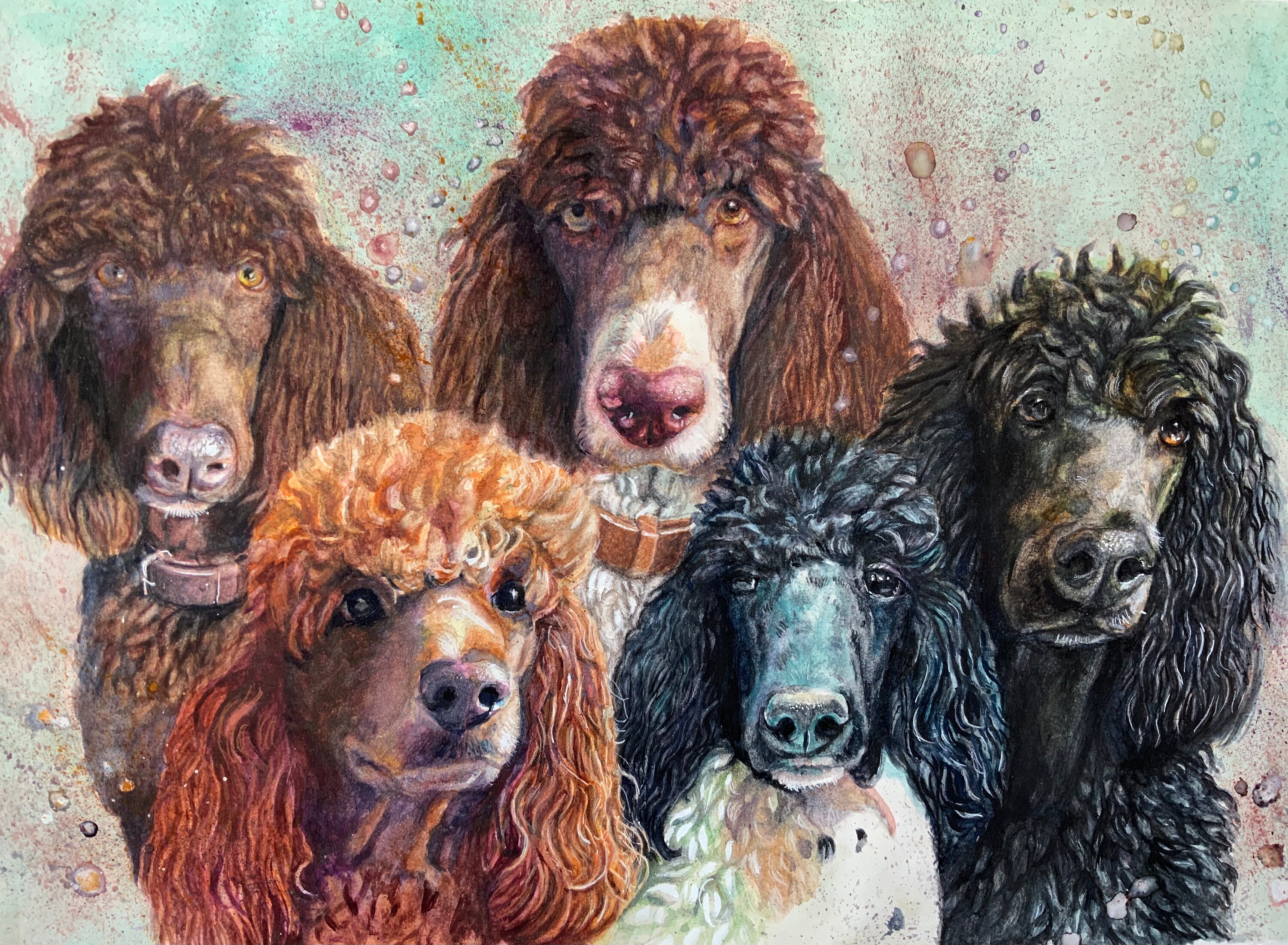 Prints Giclée Art & Collectibles Standard Poodle Signed Print etna.com.pe