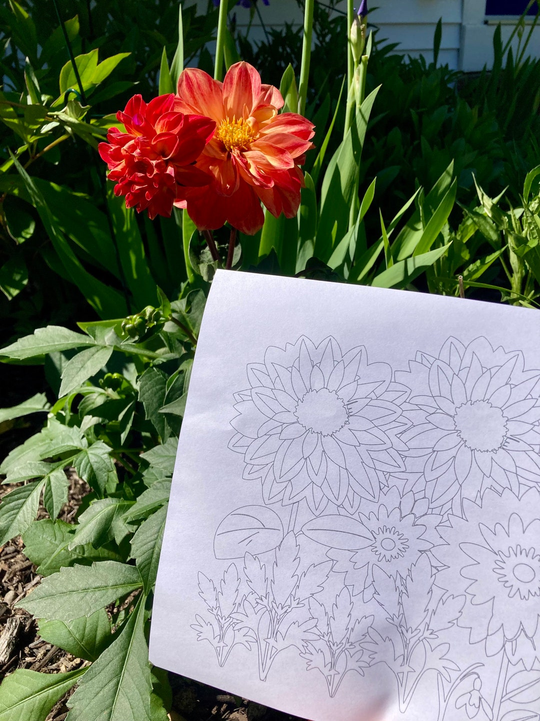 Summer Flower Garden Printable Detailed Coloring Sheet Activity - Etsy