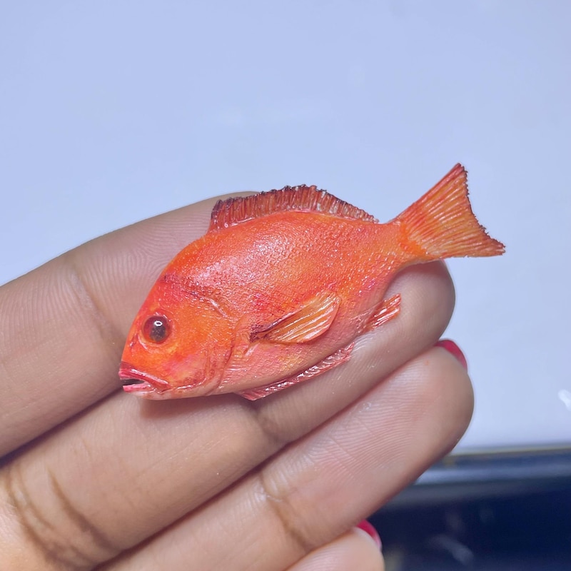 Miniature Fish - Etsy