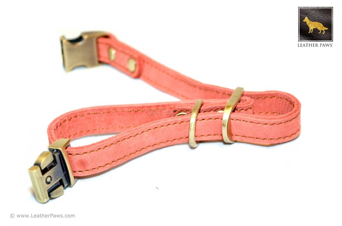 Leather Dog Collar Snap on for Quick Release Brass Real | Etsy