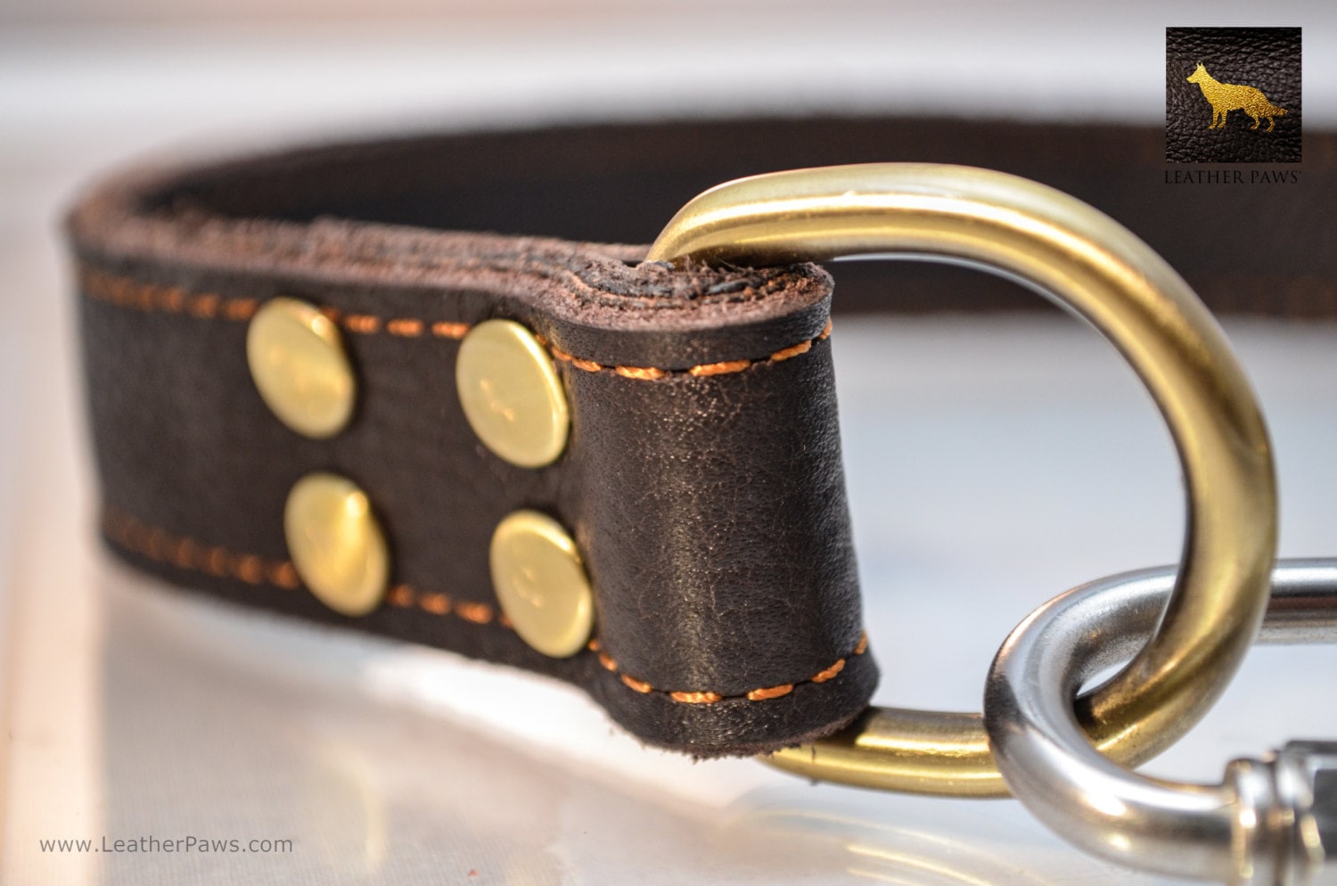 Adjustable Leather Martingale Dog Collar Quick Release Brass Color Real ...