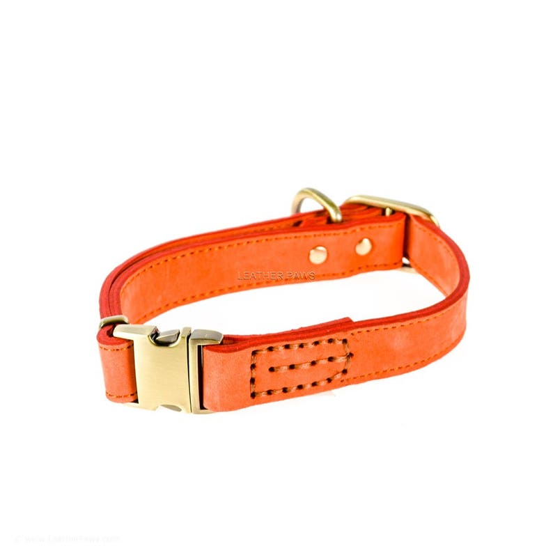 Leather Dog Collar Snap on for Quick Release Brass Real - Etsy