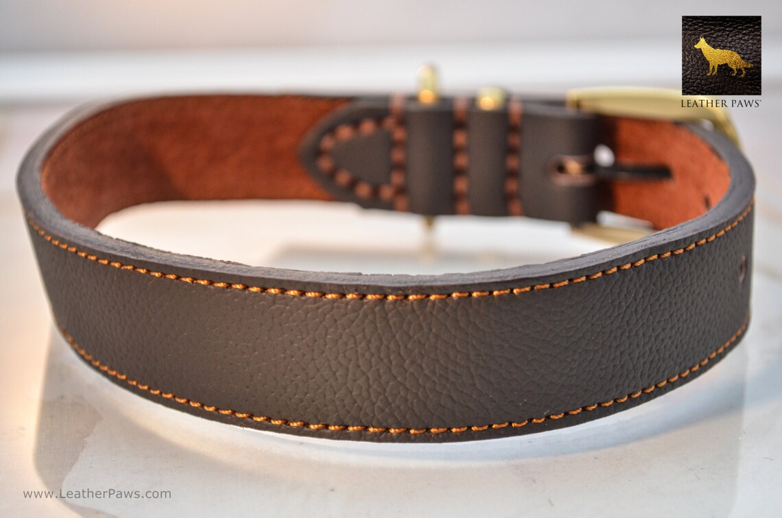 Adjustable Leather Dog Collar Brass Clasp Real Genuine Leather - Etsy