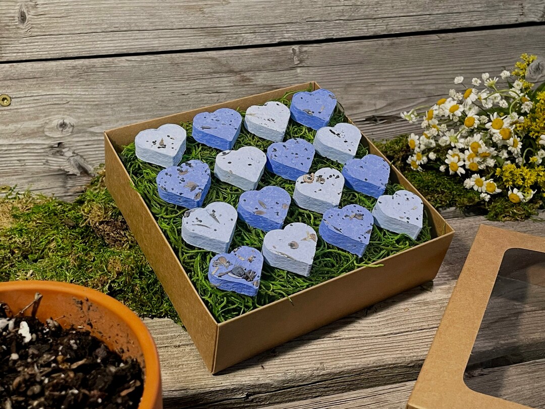 READY TO SHIP 16pc Wildflower Seed Bomb Gift Box, Plantable ...