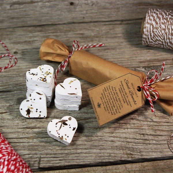 Seed Bombs - Etsy