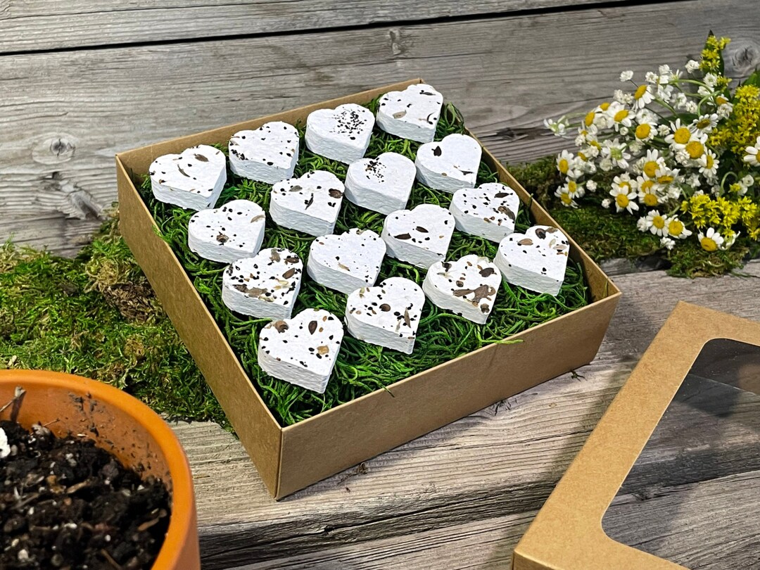 READY TO SHIP 16pc Wildflower Seed Bomb Gift Box, Plantable ...