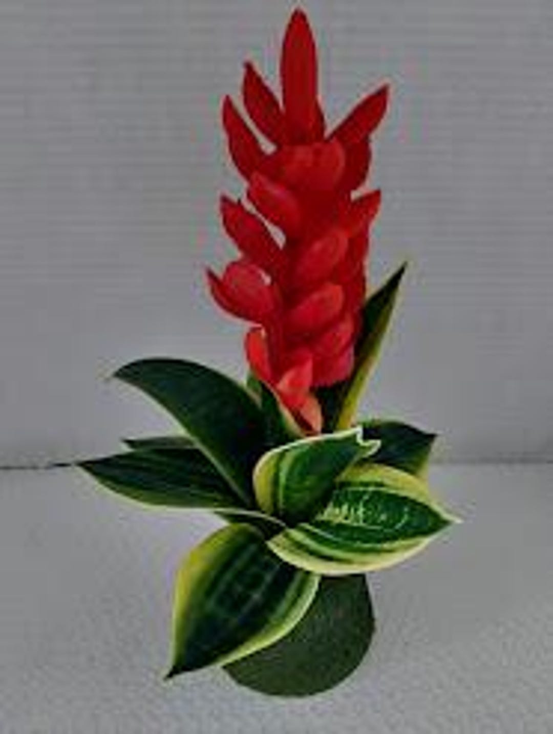 NEW Mini Artificial Bromeliad Plant ORANGE - Etsy Australia
